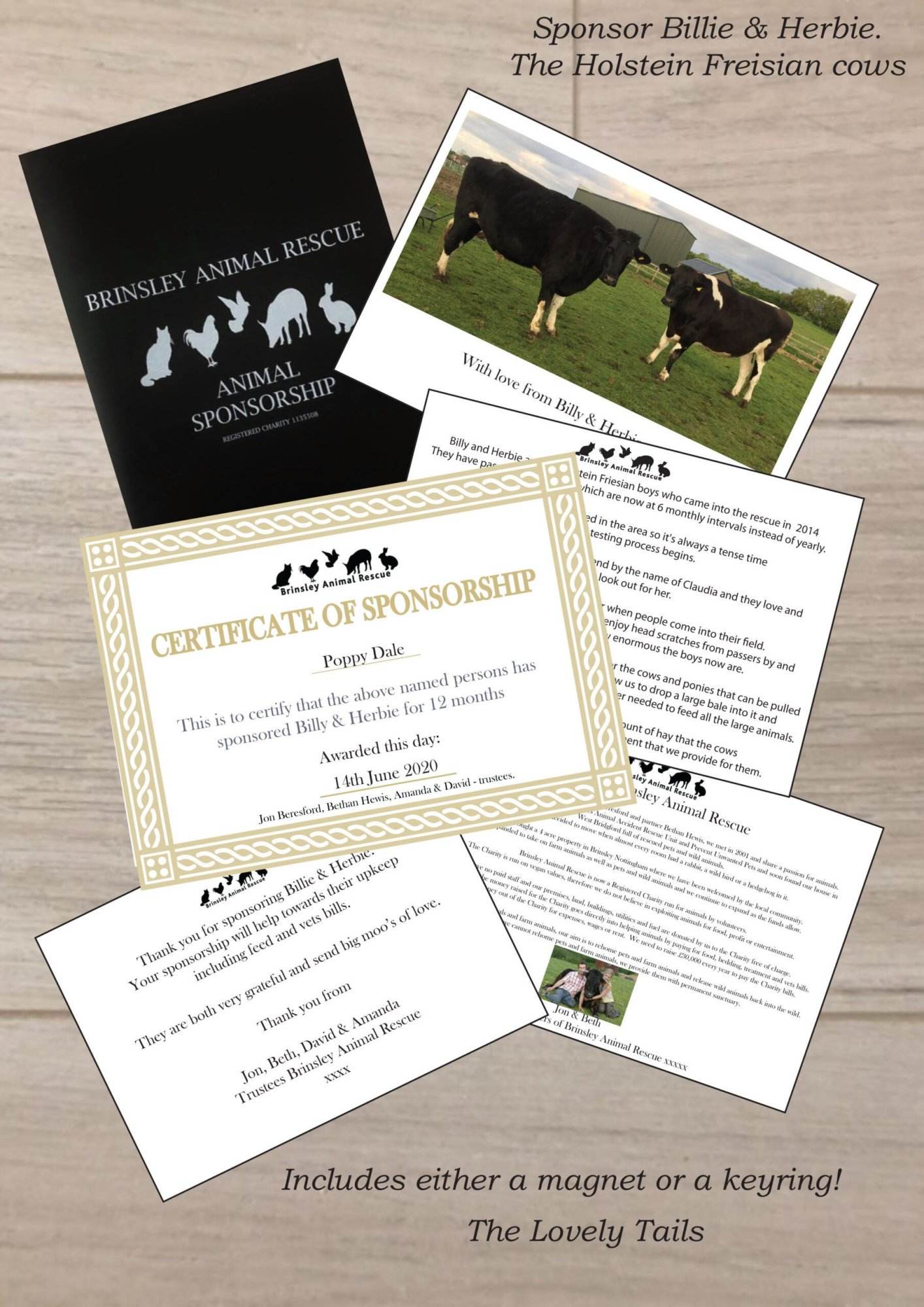 Sponsor an Animal – Brinsley Animal Rescue